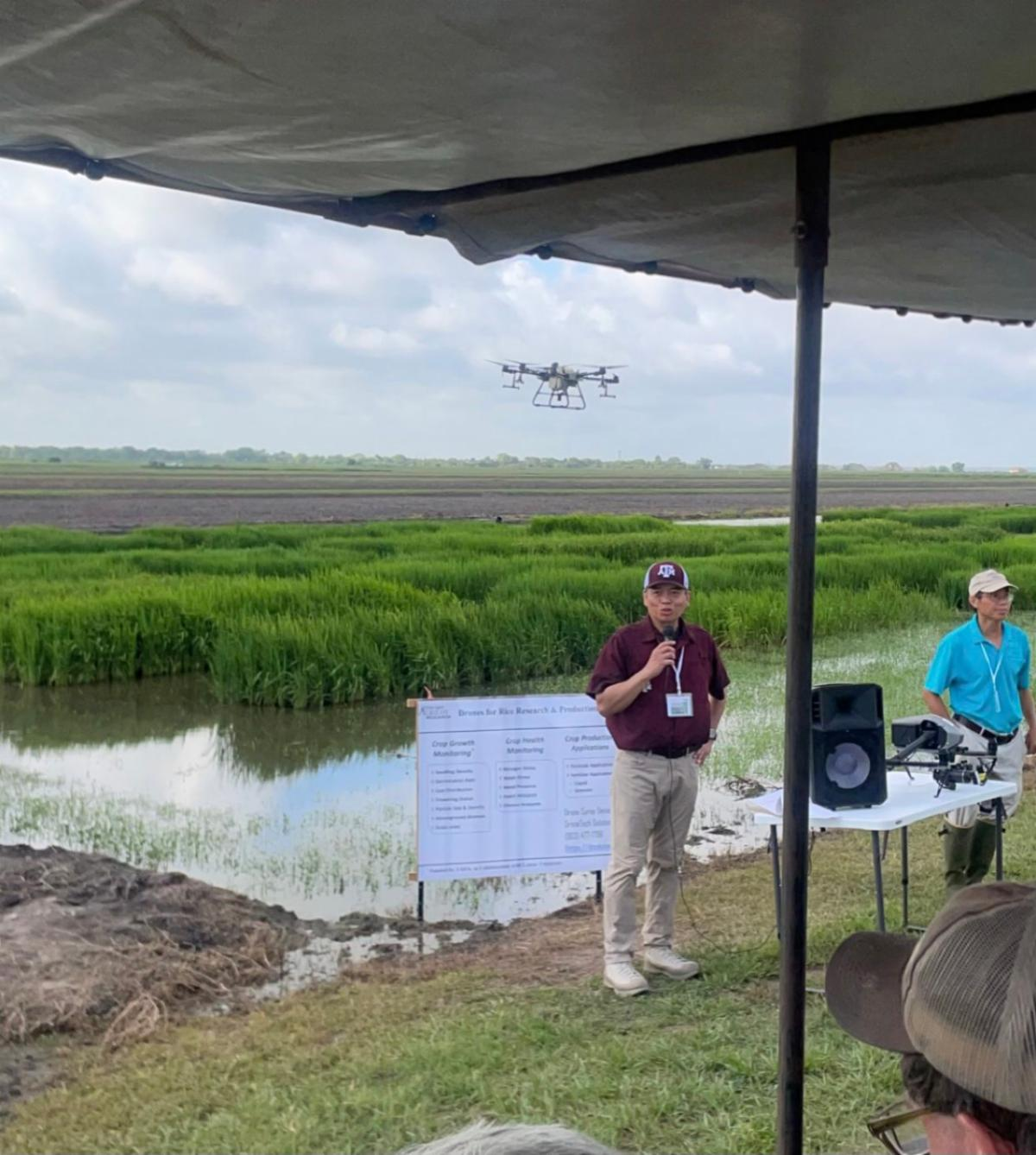Beaumont Field Day - US Rice Producers Association